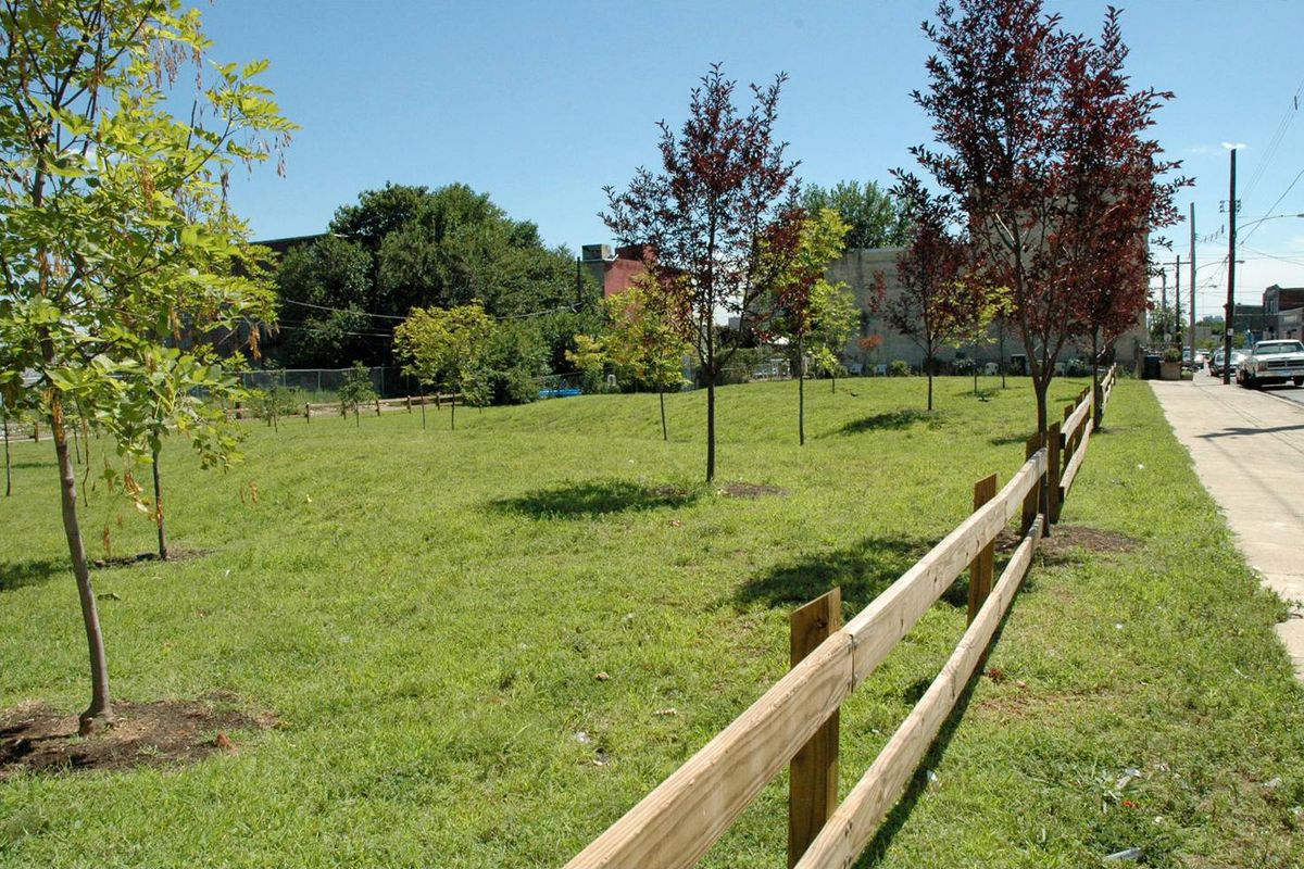 Could Trees Help Stop Crime? | The Marshall Project